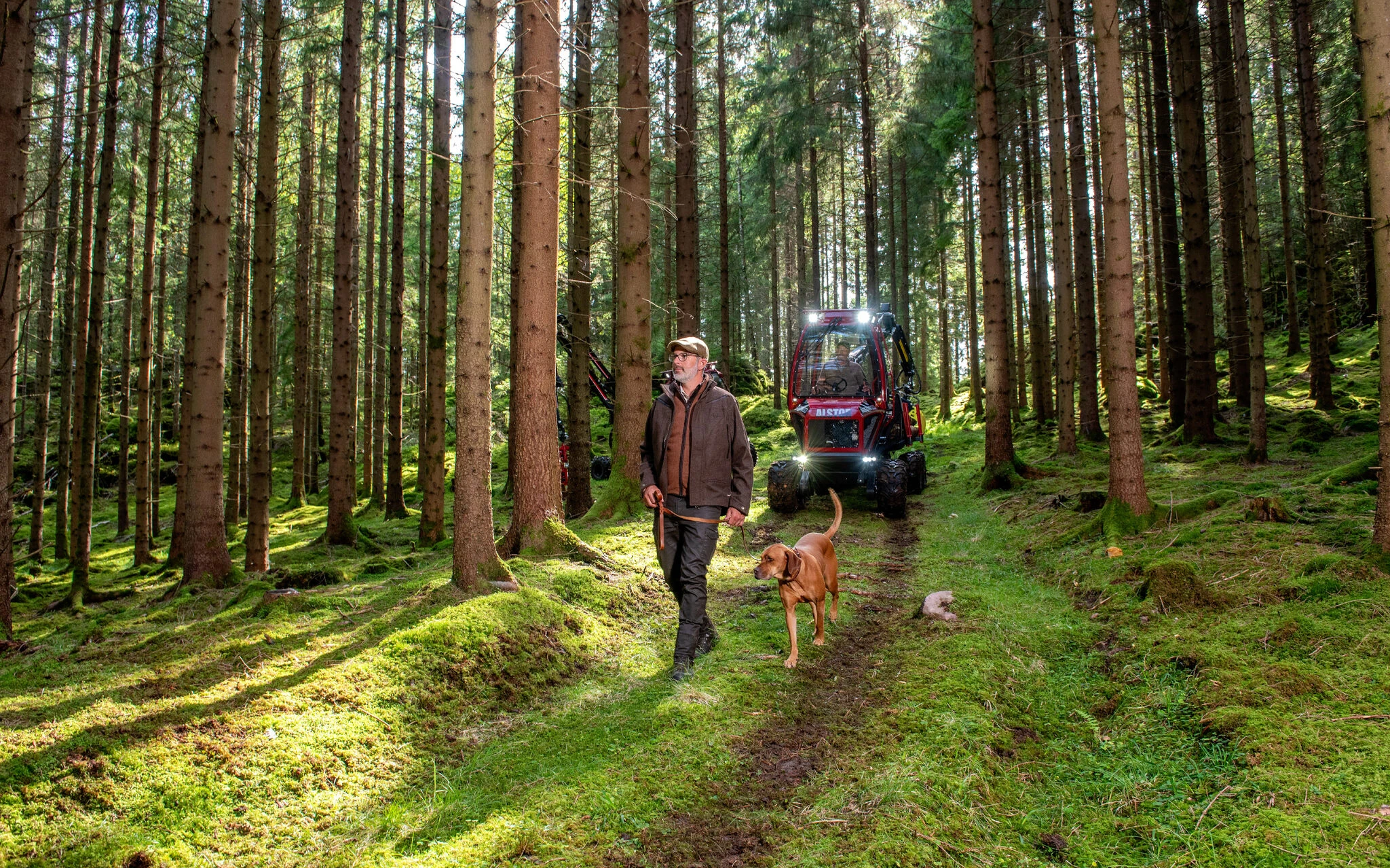 Alstor 850H hakkuukone - Alstor Pienmetsäkoneet