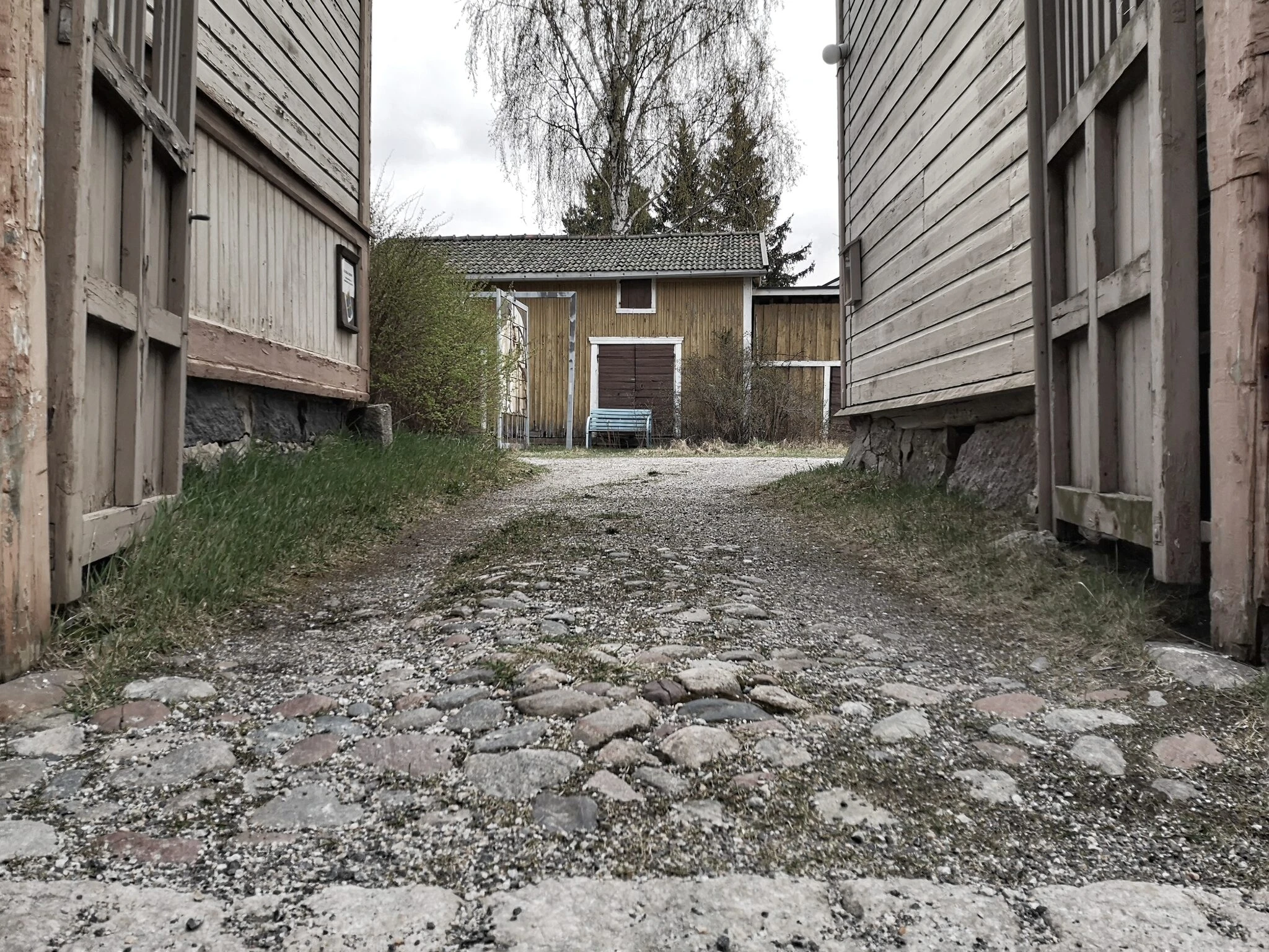 Vanhan Rauman kummituskierros - Sandrian villi luonto